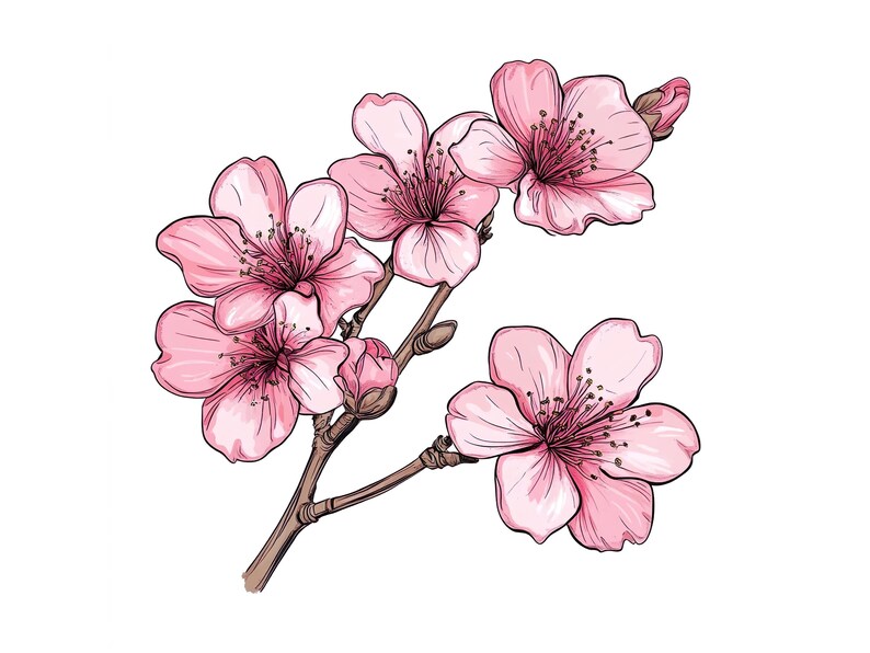 10 Sakura Flowers Clipart Set, Digital Watercolor Painting, Cherry ...