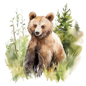 10 Bear Clipart Set Digital Watercolor Mammal Painting Woodland Animal ...