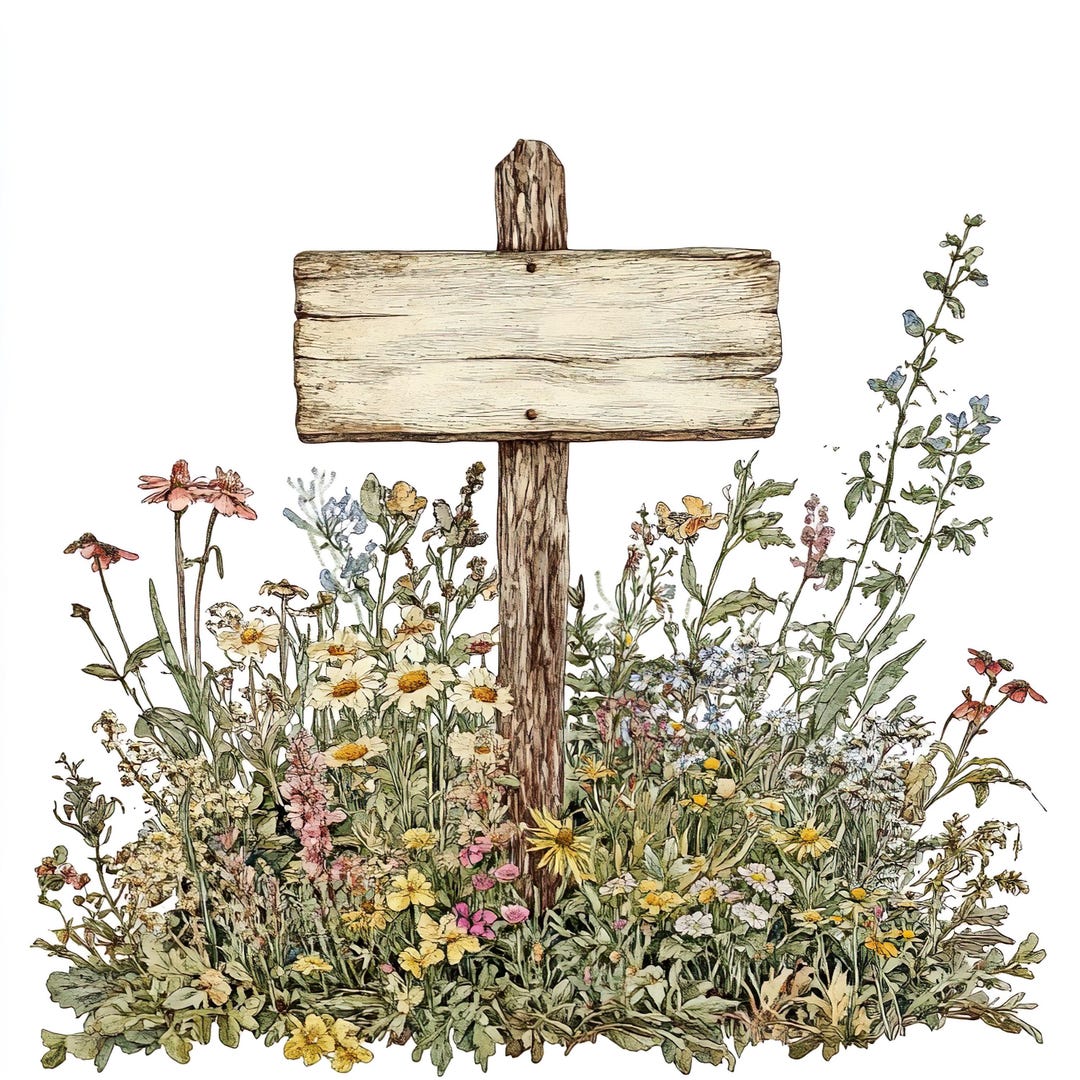 10 Old Empty Wooden Garden Sign With Wildflowers Clipart Set Digital ...