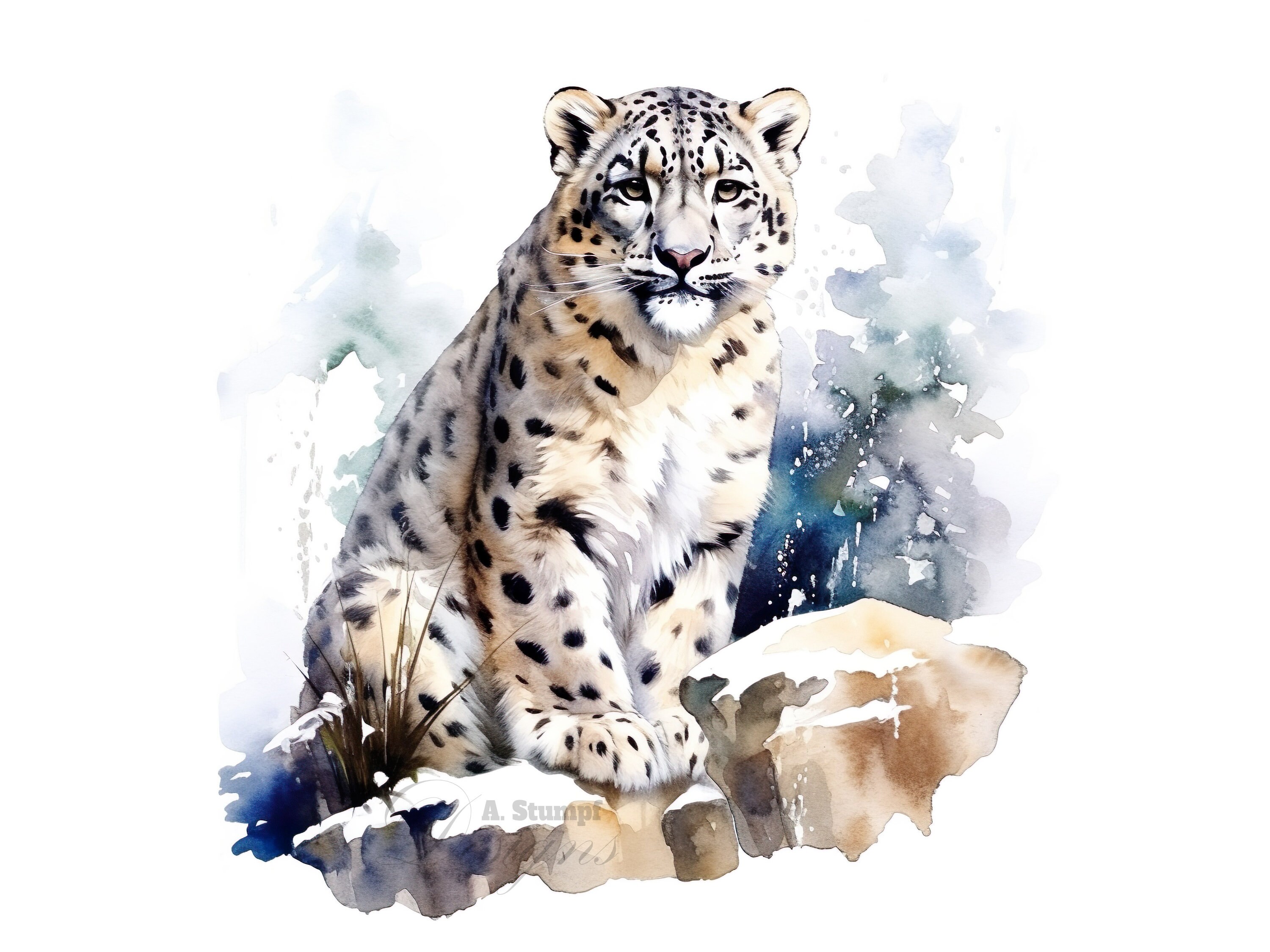 Snow Leopard Clipart Set of 10 High Quality Jpgs Digital - Etsy