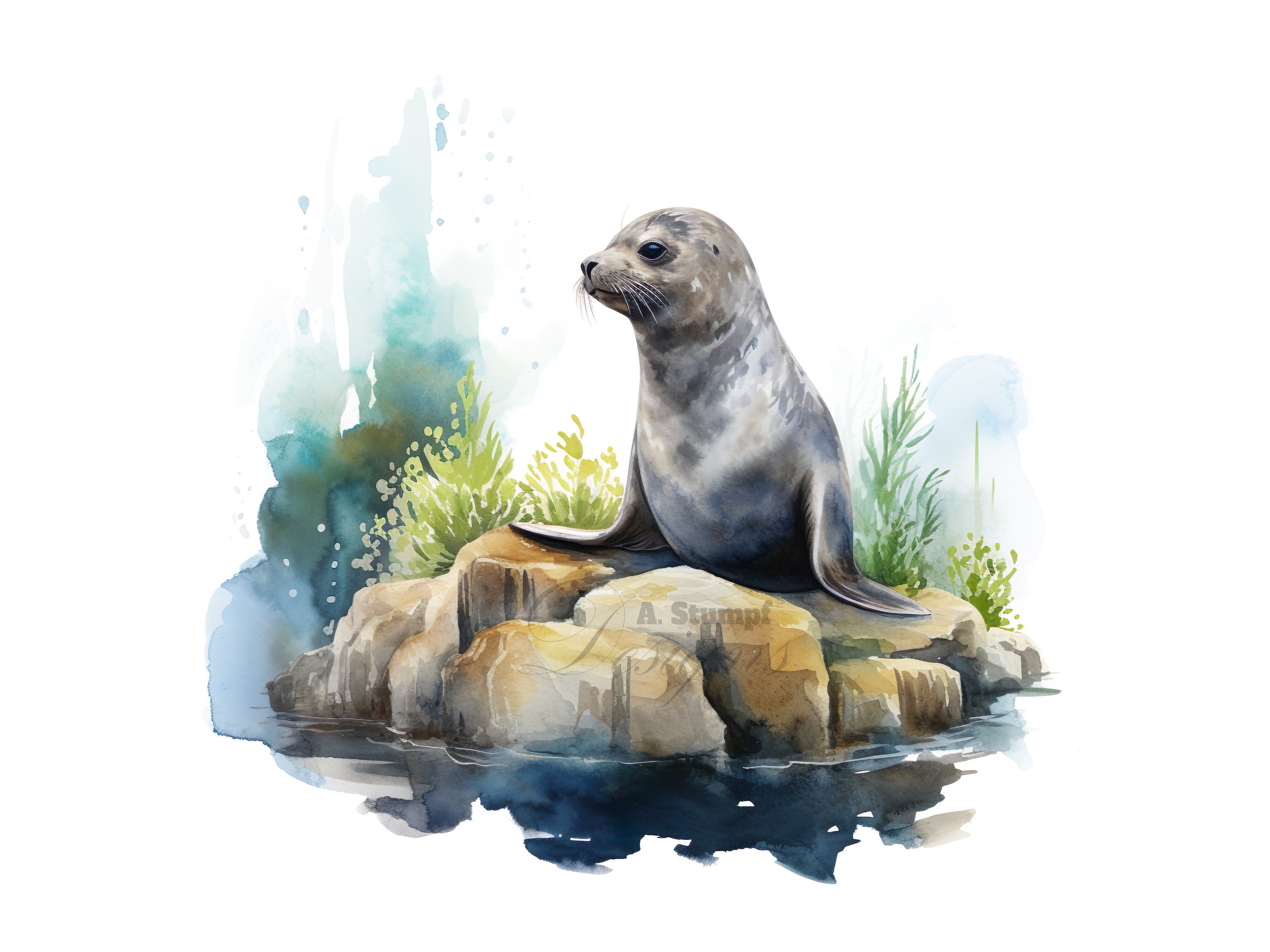 Seal Clipart Set of 10 High Quality Jpgs Digital Watercolor Art ...