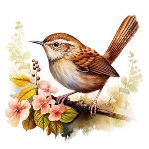 10 Cute Wren Clipart Set Digital Watercolor Painting Wild Bird ...