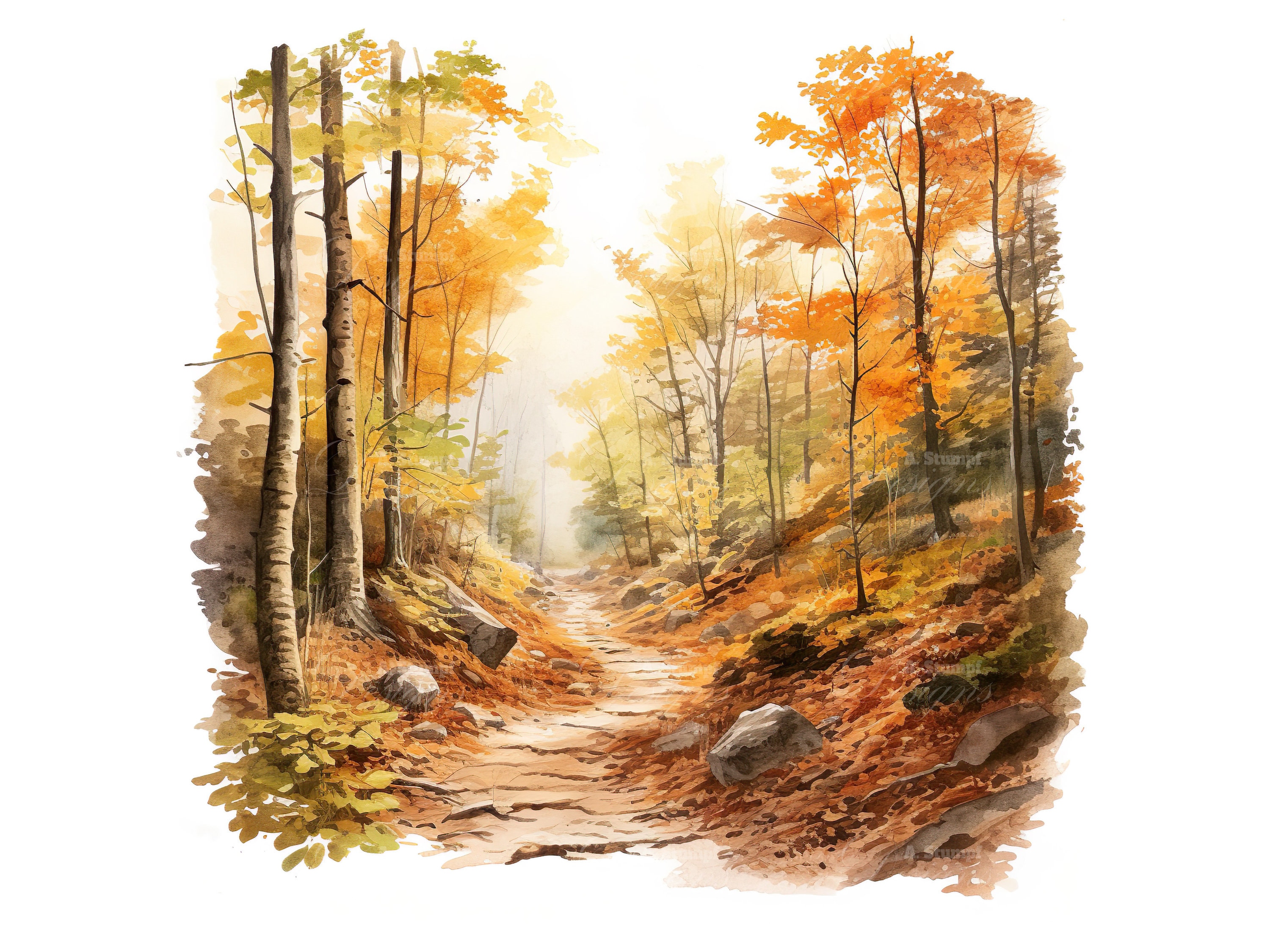 10 Autumn Forest Hiking Trail Clipart Watercolor Nature Paintings ...