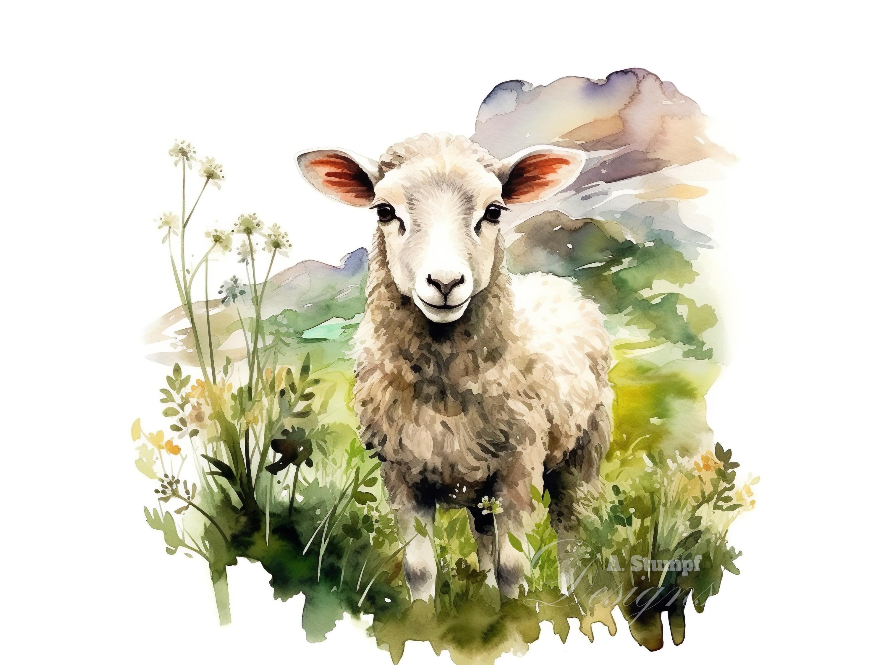 10 Wooly Fluffy Sheep Clipart Set Digital Watercolor Painting Farm ...