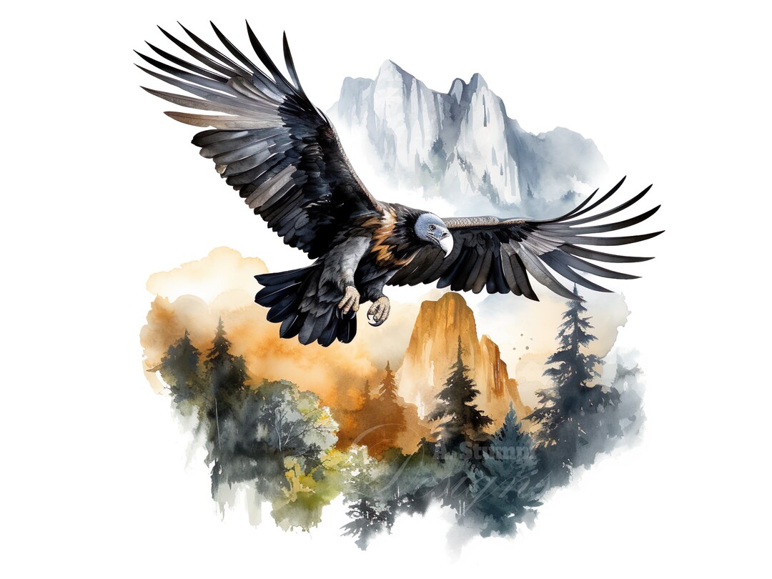 10 Flying Condor Clipart Set Digital Watercolor Painting Exotic ...