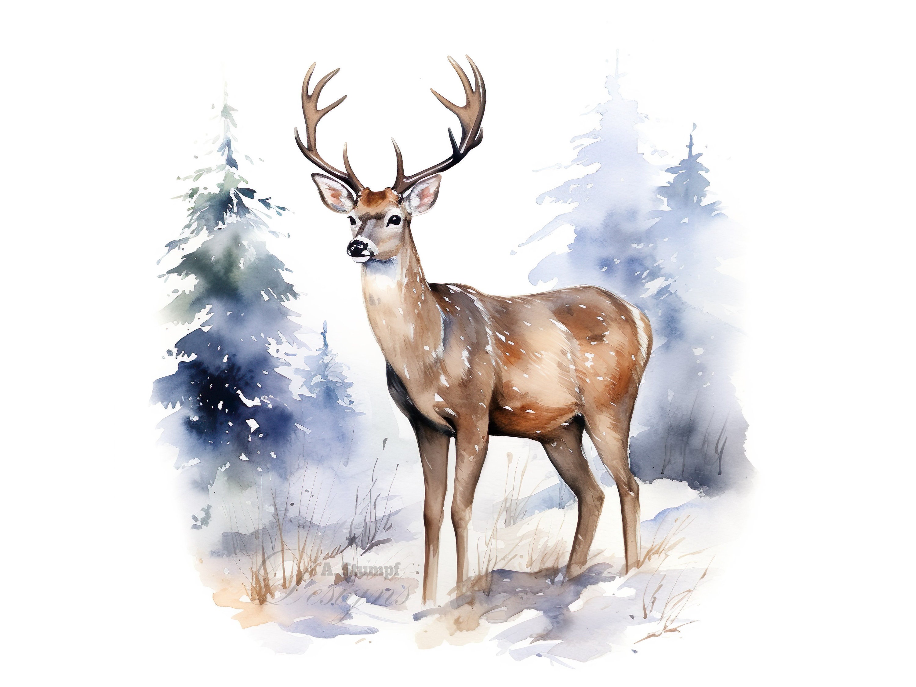 Deer Clipart Set of 10 High Quality Jpgs Digital Watercolor Art ...