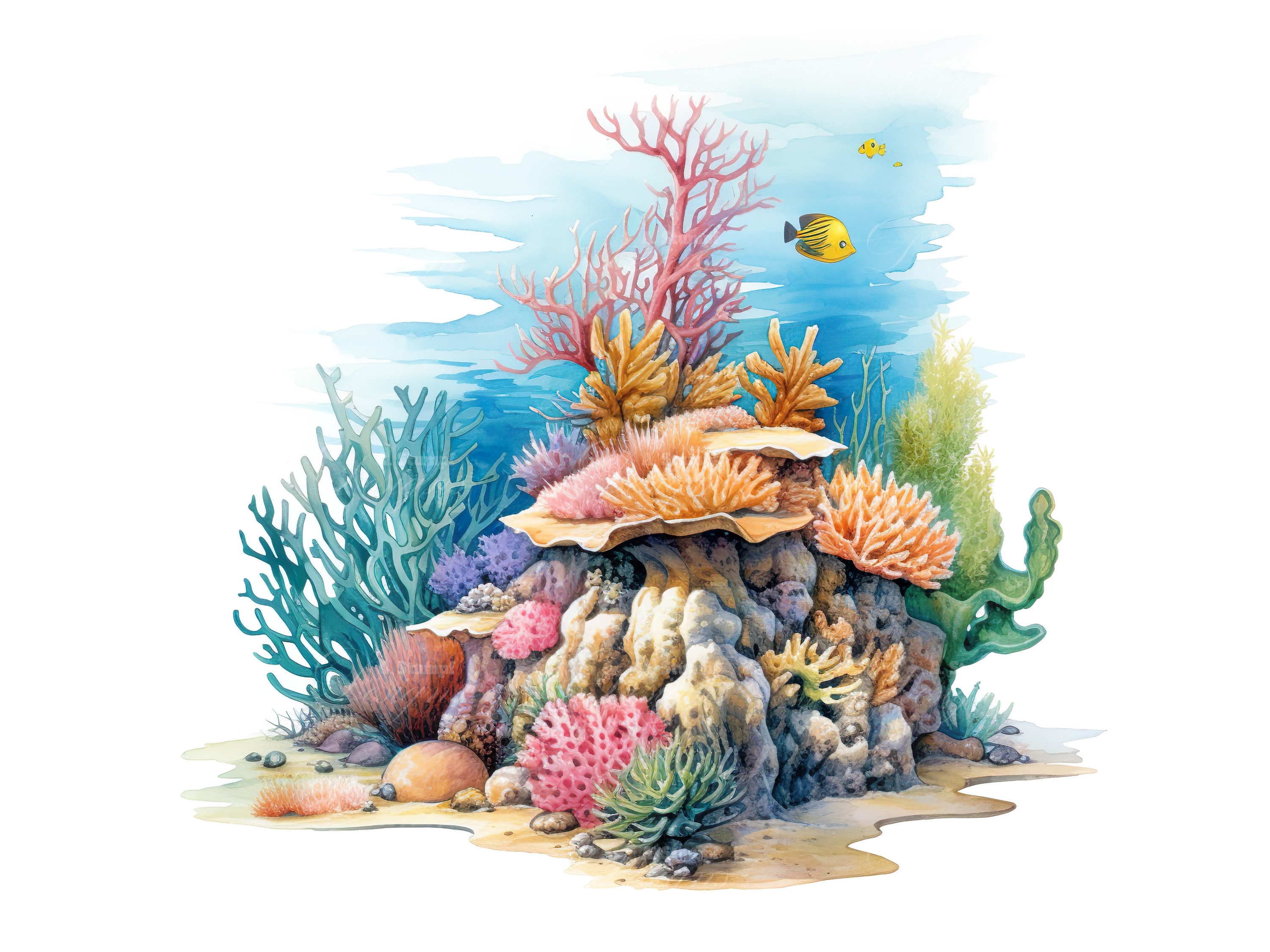 Coral Reef Clipart Ocean Art Bundle Watercolor Underwater Background ...
