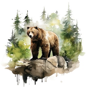 10 Bear Clipart Set Digital Watercolor Mammal Painting Woodland Animal ...