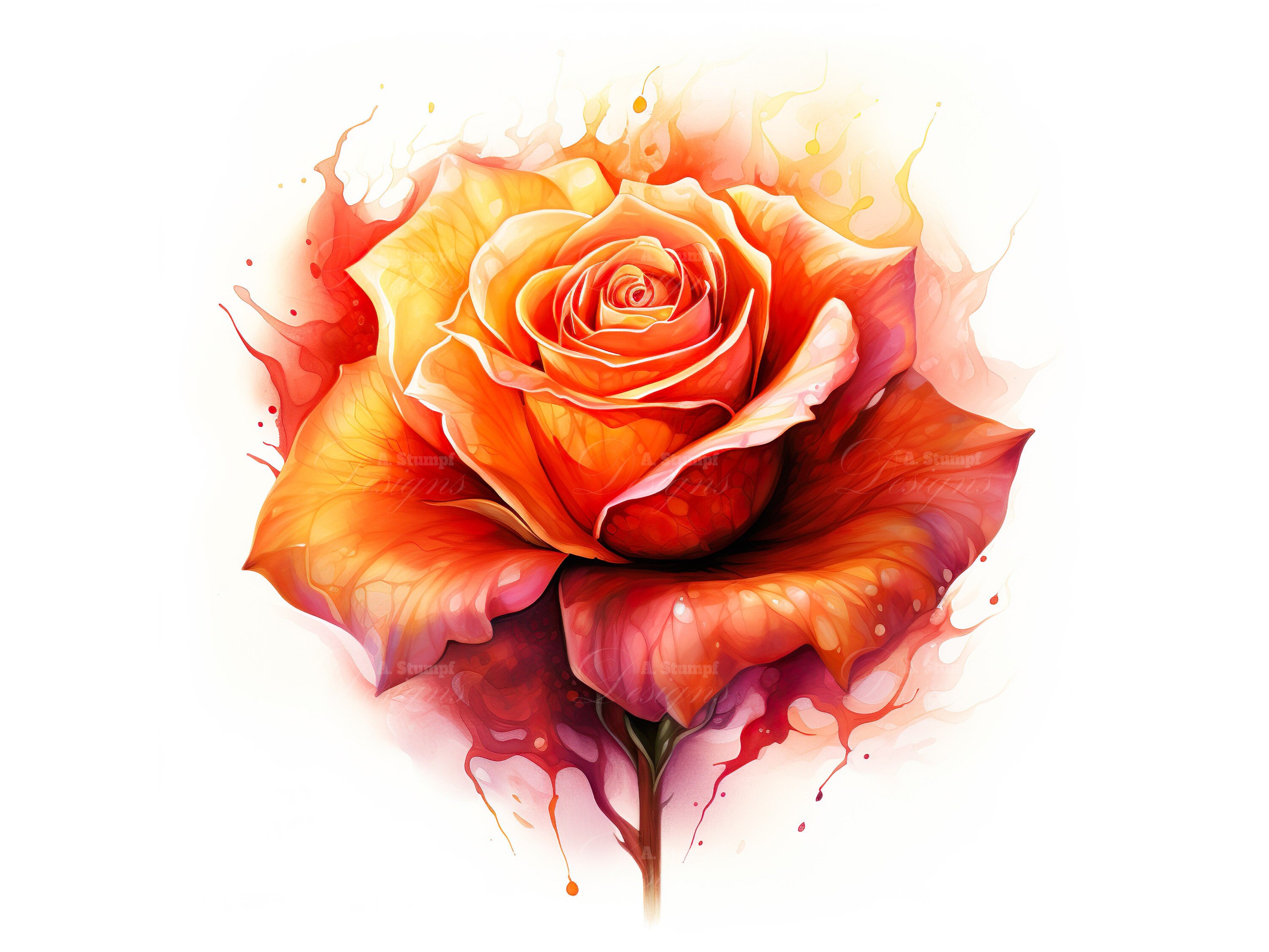 10 Burning Rose Clipart, Watercolor Burning Rose, Floral Flame Design ...