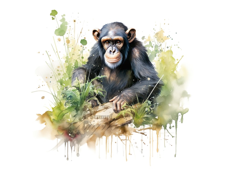 Chimpanzee, Clipart Set, Digital Chimp Art, Ape Clip Art, Primate ...