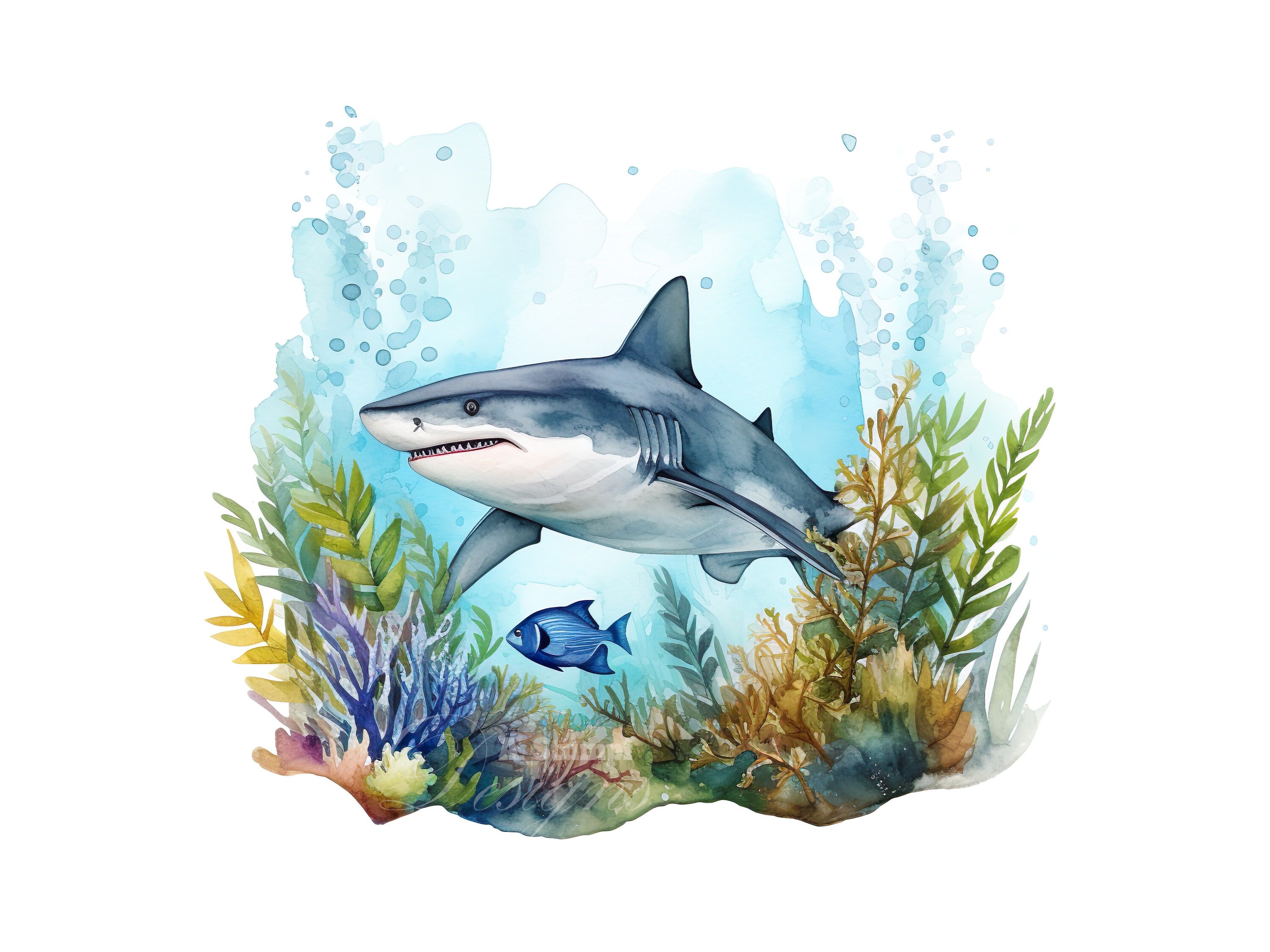 Shark Clipart Set Print Pictures Shark Lovers Gift Idea Printable ...