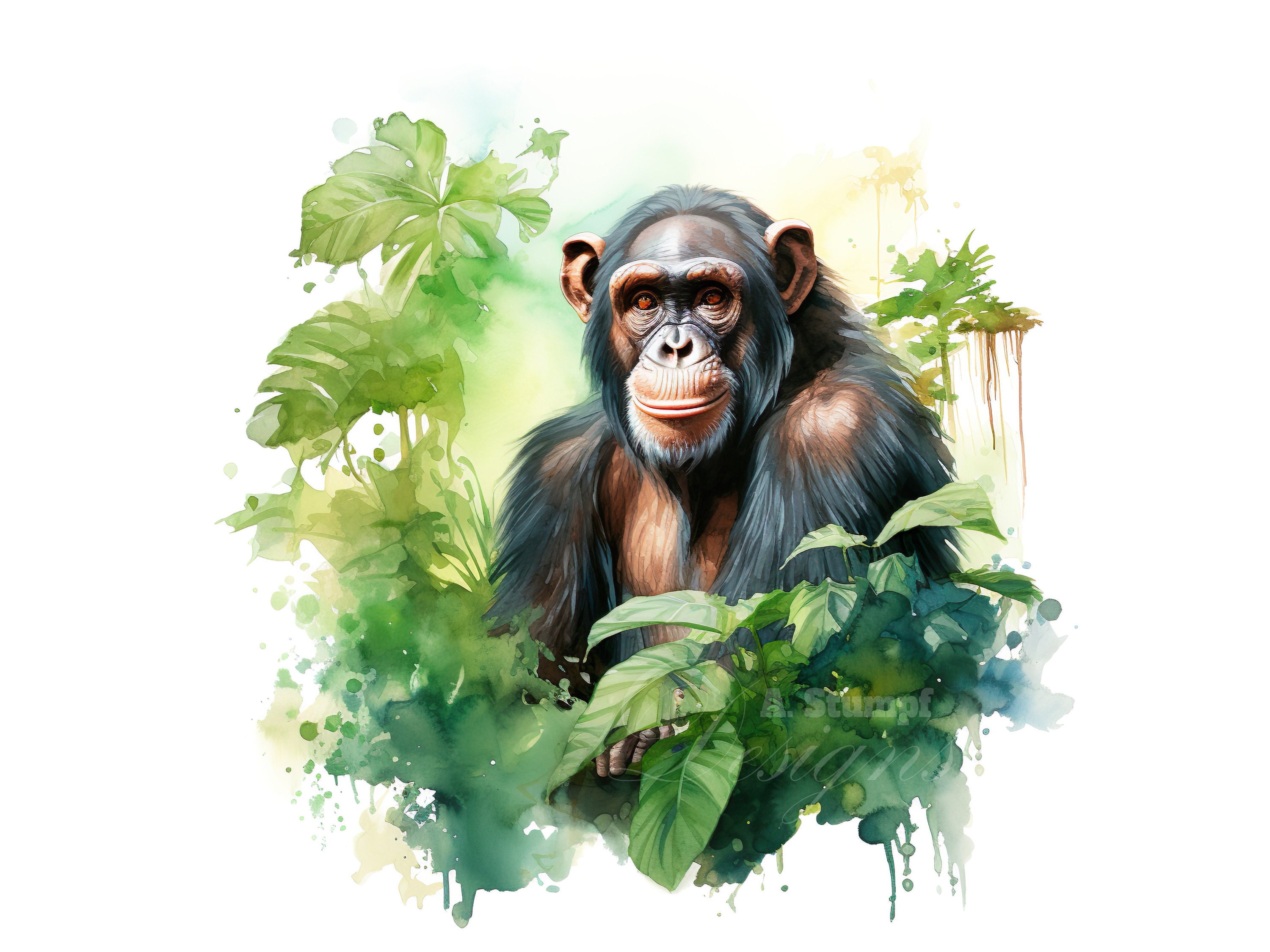 Chimpanzee, Clipart Set, Digital Chimp Art, Ape Clip Art, Primate ...