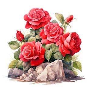 10 Red Roses Clipart Set Digital Watercolor Painting Floral ...
