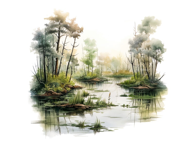 10 Swamp Landscape Clipart Set Wetland Scene Marsh Digital Watercolor ...