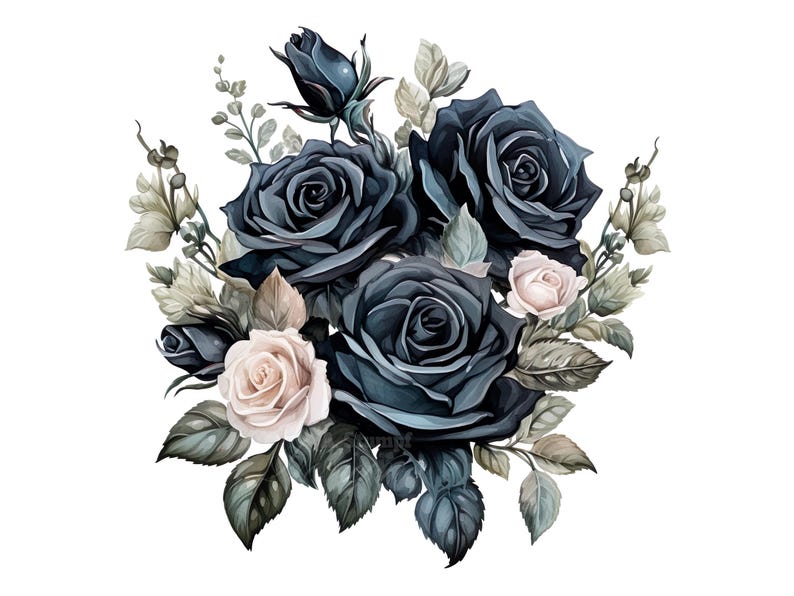 10 Black Roses Clipart Set Digital Watercolor Painting Floral Botanical ...