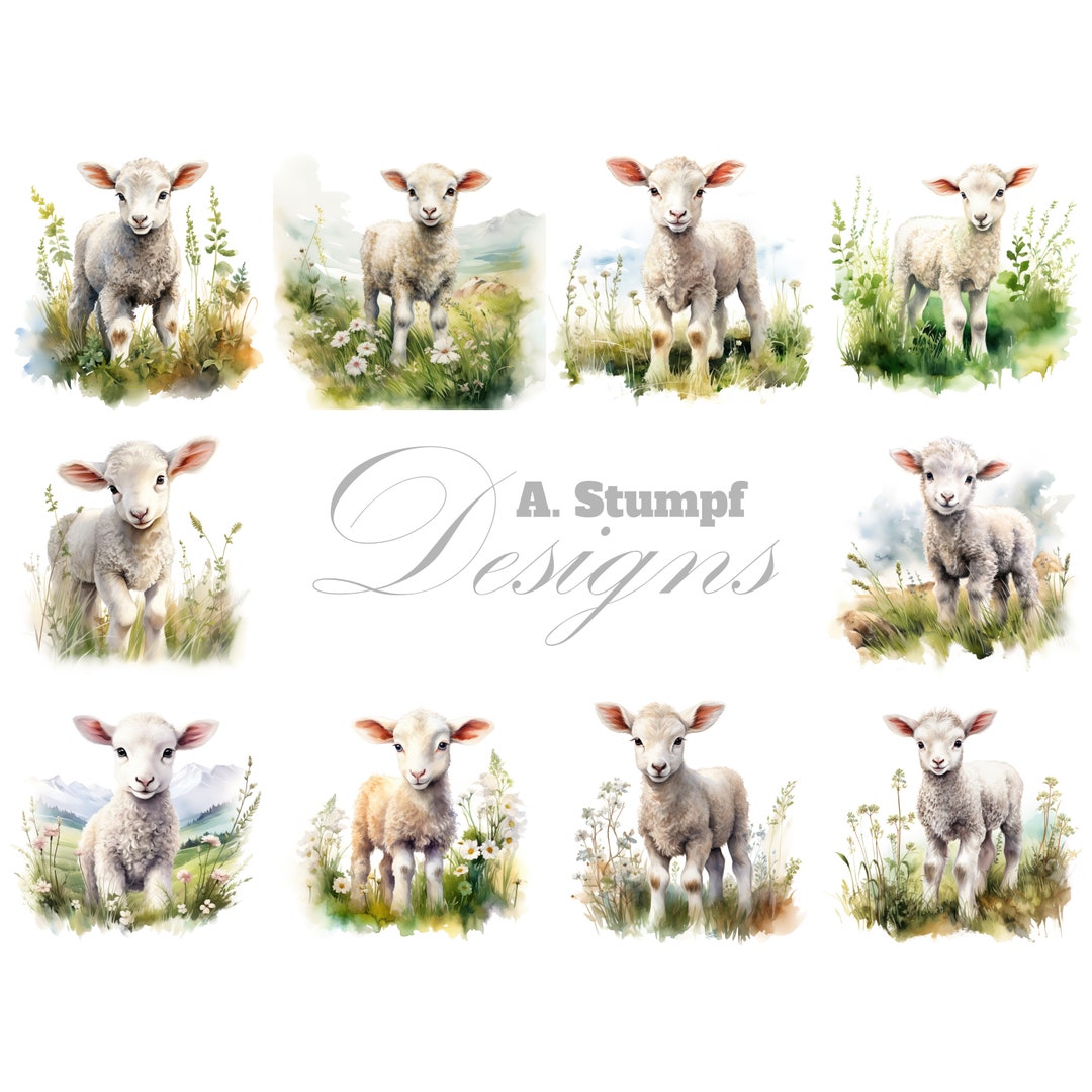 Cute Lamb Clipart Set Watercolor Farm Animal Wall Art Print Nursery ...