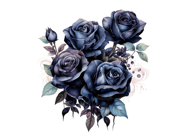 10 Black Roses Clipart Set Digital Watercolor Painting Floral Botanical ...