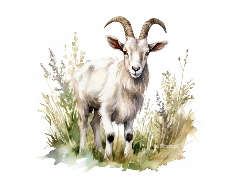 10 Goat Clipart Set Digital Watercolor Painting Farm Animal Scene Clip ...