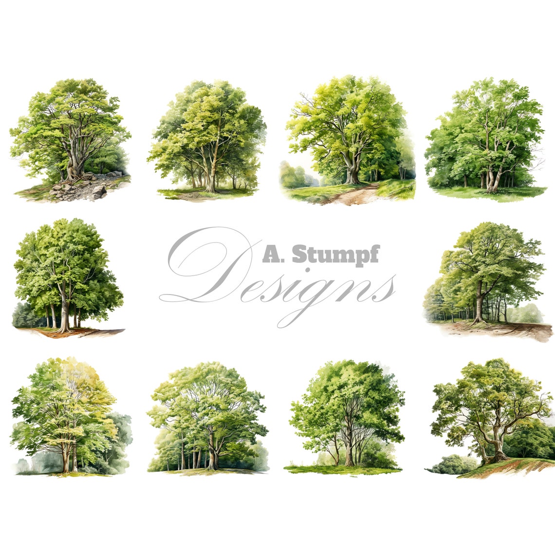 Beech Tree Clipart Set Watercolor Clip Art Bundle Printable Wall Art ...