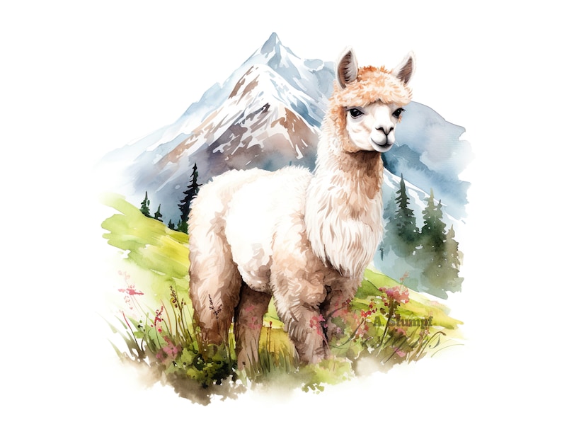 10 Alpaca Clipart Set, Digital Watercolor Paintings, Farm Animal ...