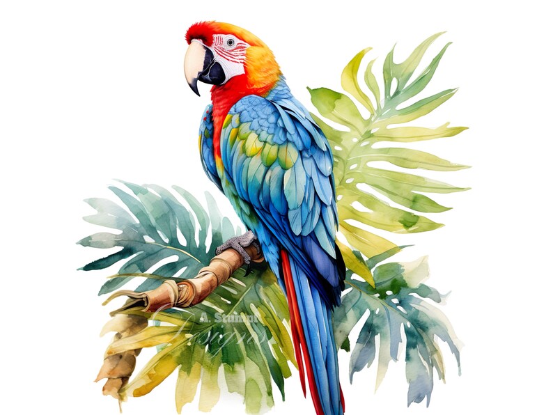 10 Parrot Clipart Set Tropical Bird Clip Art Bundle Digital Watercolor ...
