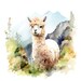 10 Alpaca Clipart Set, Digital Watercolor Paintings, Farm Animal ...