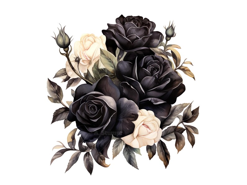 10 Black Roses Clipart Set Digital Watercolor Painting Floral Botanical ...