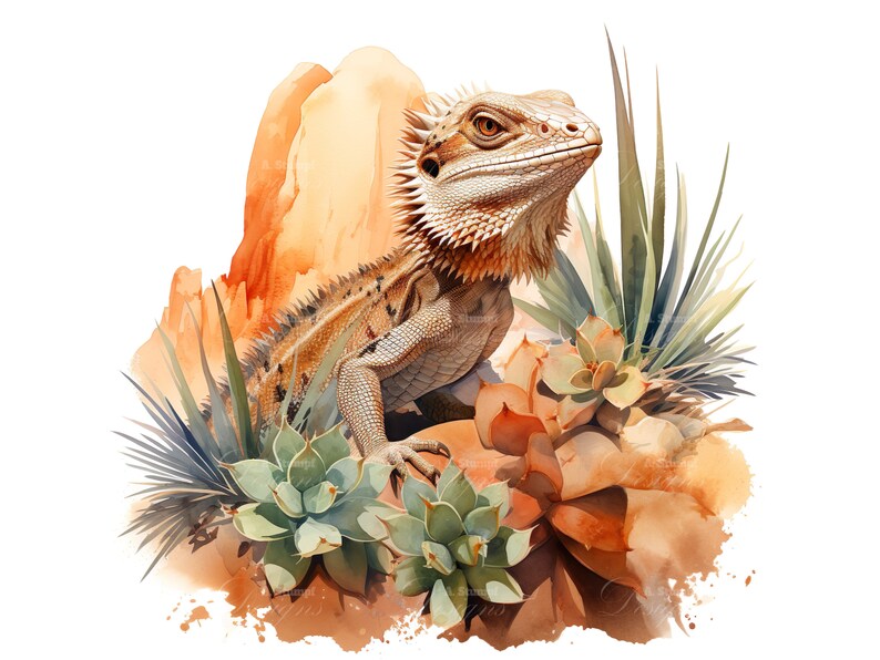 Bearded Dragon Lizard Watercolor Clipart Bundle Reptile Graphics Animal ...