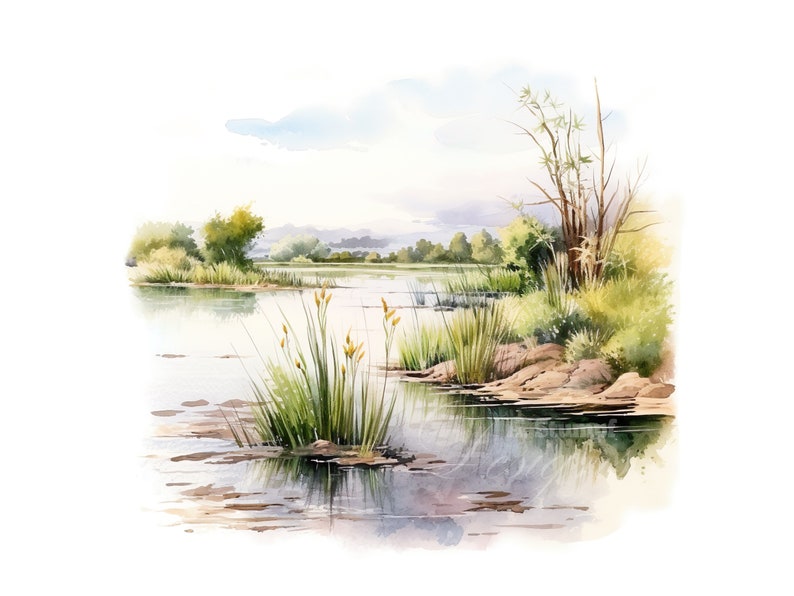 Wetland Landscape Clipart Set, Digital Watercolor Painting, Nature ...