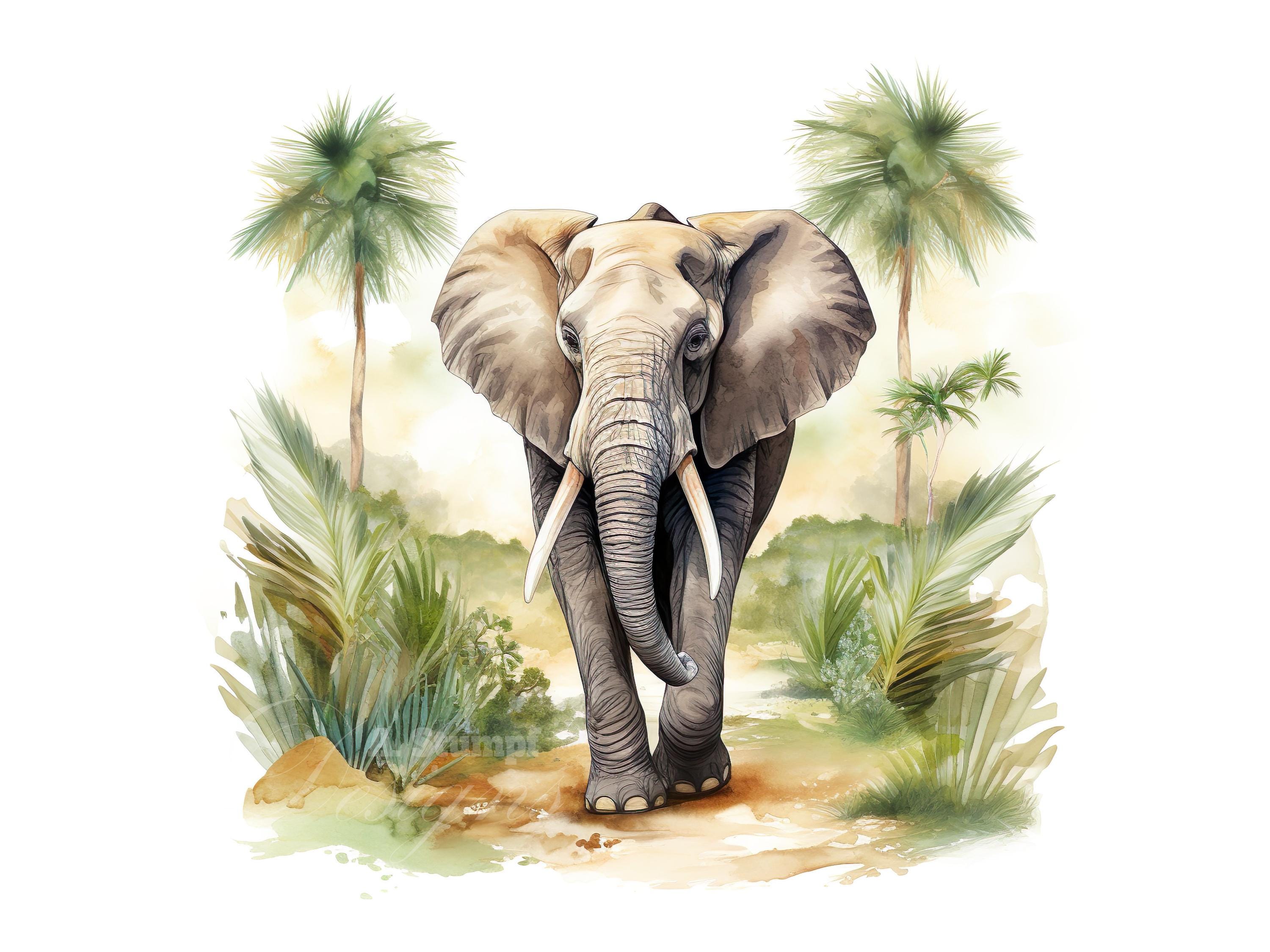 10 Elephant Clipart Set Digital Watercolor Painting African Safari ...