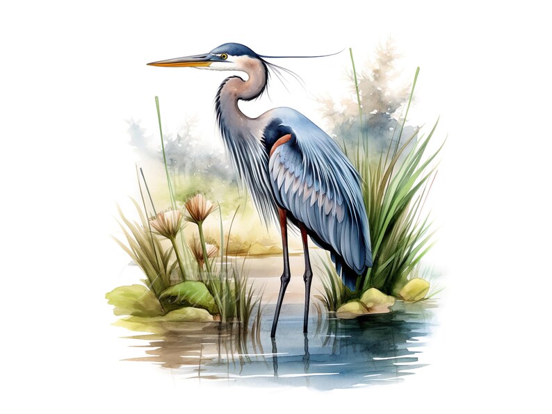 10 Blue Heron Clipart Set Digital Watercolor Painting Coastal Wetlands ...
