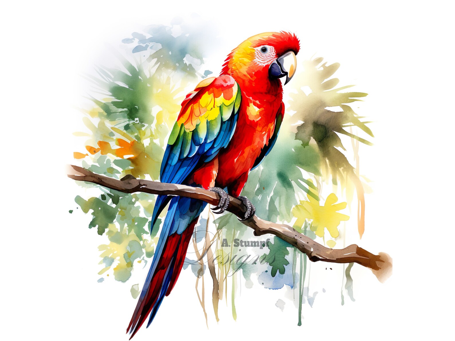 Parrot Watercolor Clipart Set 10 Digital Images Clip Art Watercolor Art ...