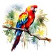 Parrot Watercolor Clipart Set 10 Digital Images Clip Art Watercolor Art ...