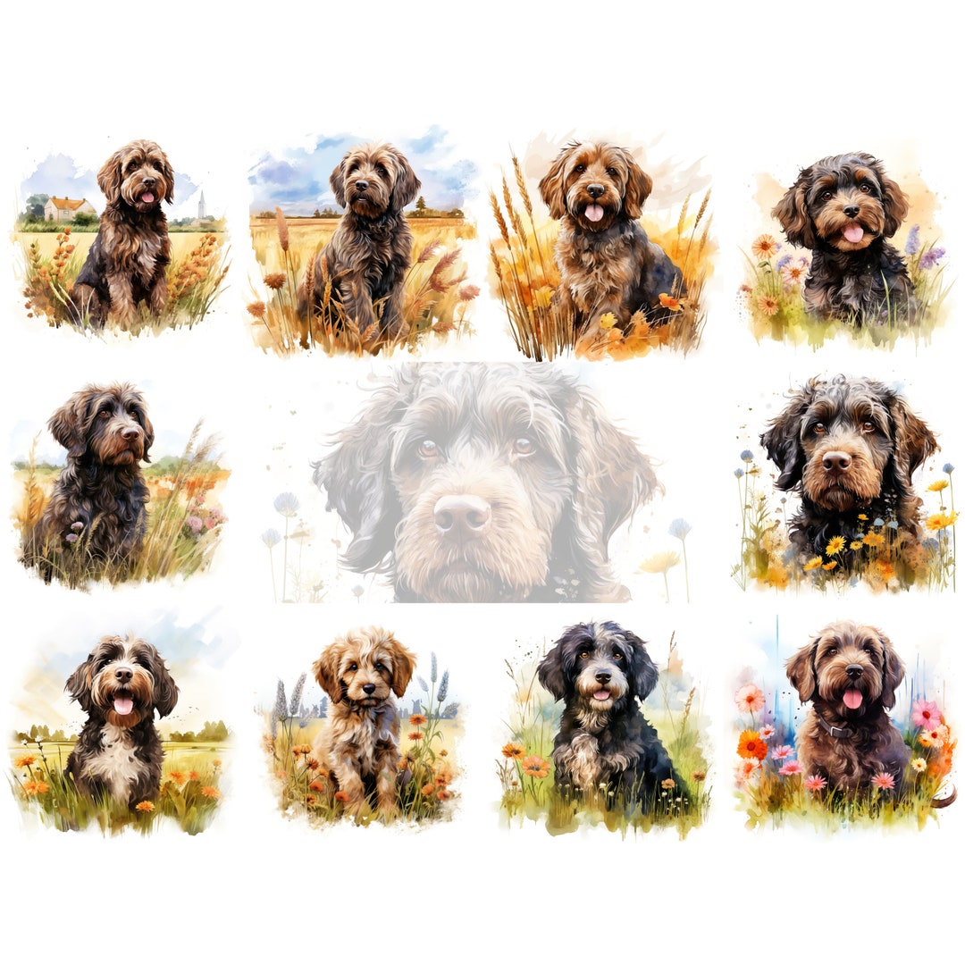 Barbet Dog Clipart Set - 10 High Quality Jpgs, Barbet Breed Art, Dog ...