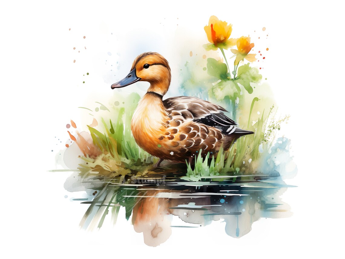 10 Duck Watercolor Clipart Set Cute Ducklings Illustration Digital Clip ...