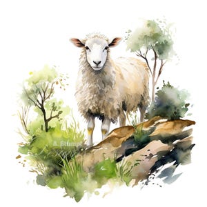 10 Wooly Fluffy Sheep Clipart Set Digital Watercolor Painting Farm ...