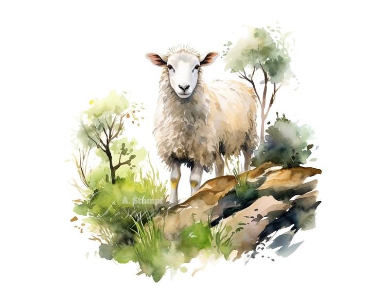 10 Wooly Fluffy Sheep Clipart Set Digital Watercolor Painting Farm ...
