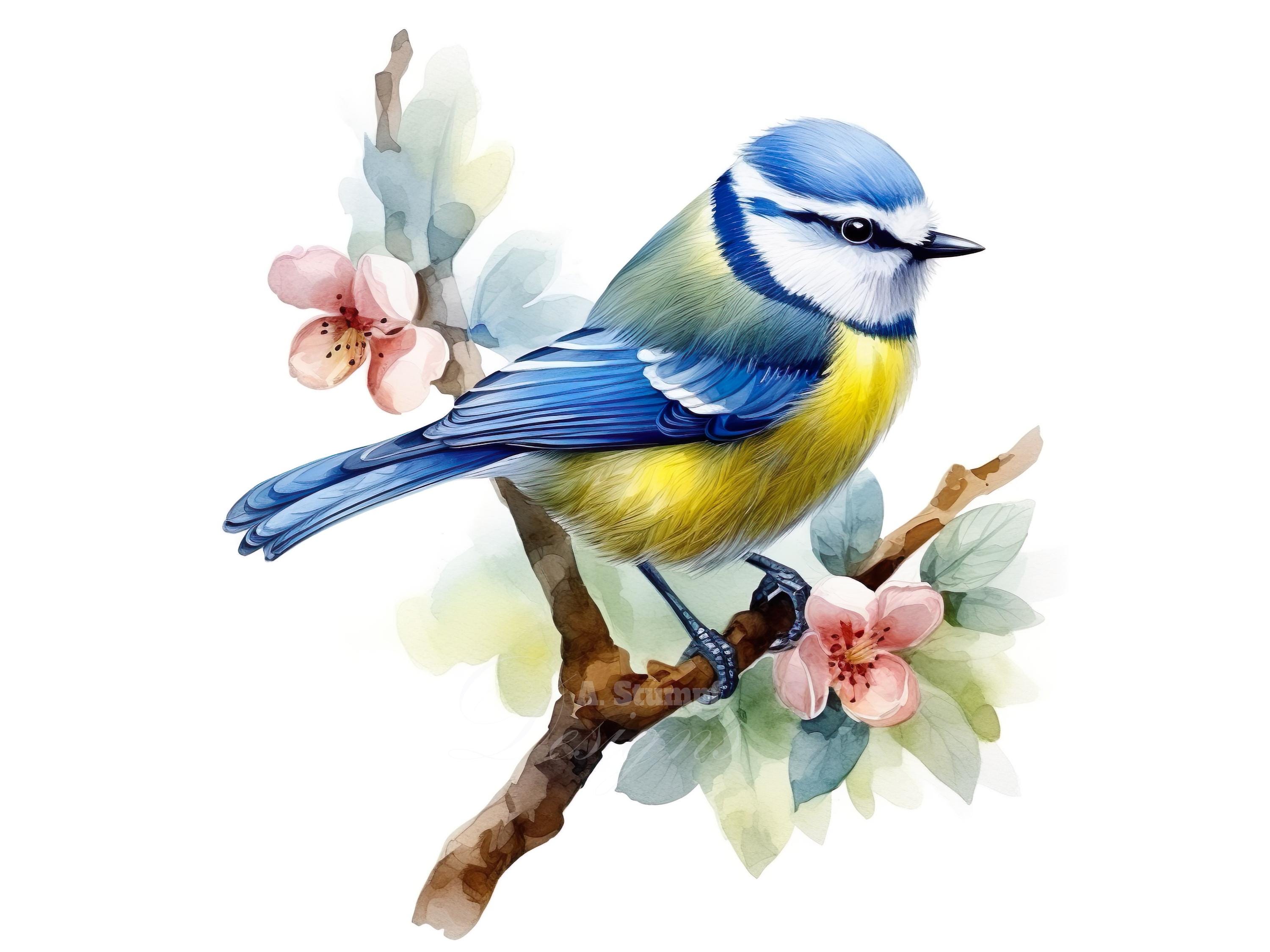 10 Blue Tit Bird Clipart Set Digital Watercolor Painting Forest ...