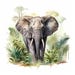 10 Elephant Clipart Set Digital Watercolor Painting African Safari ...