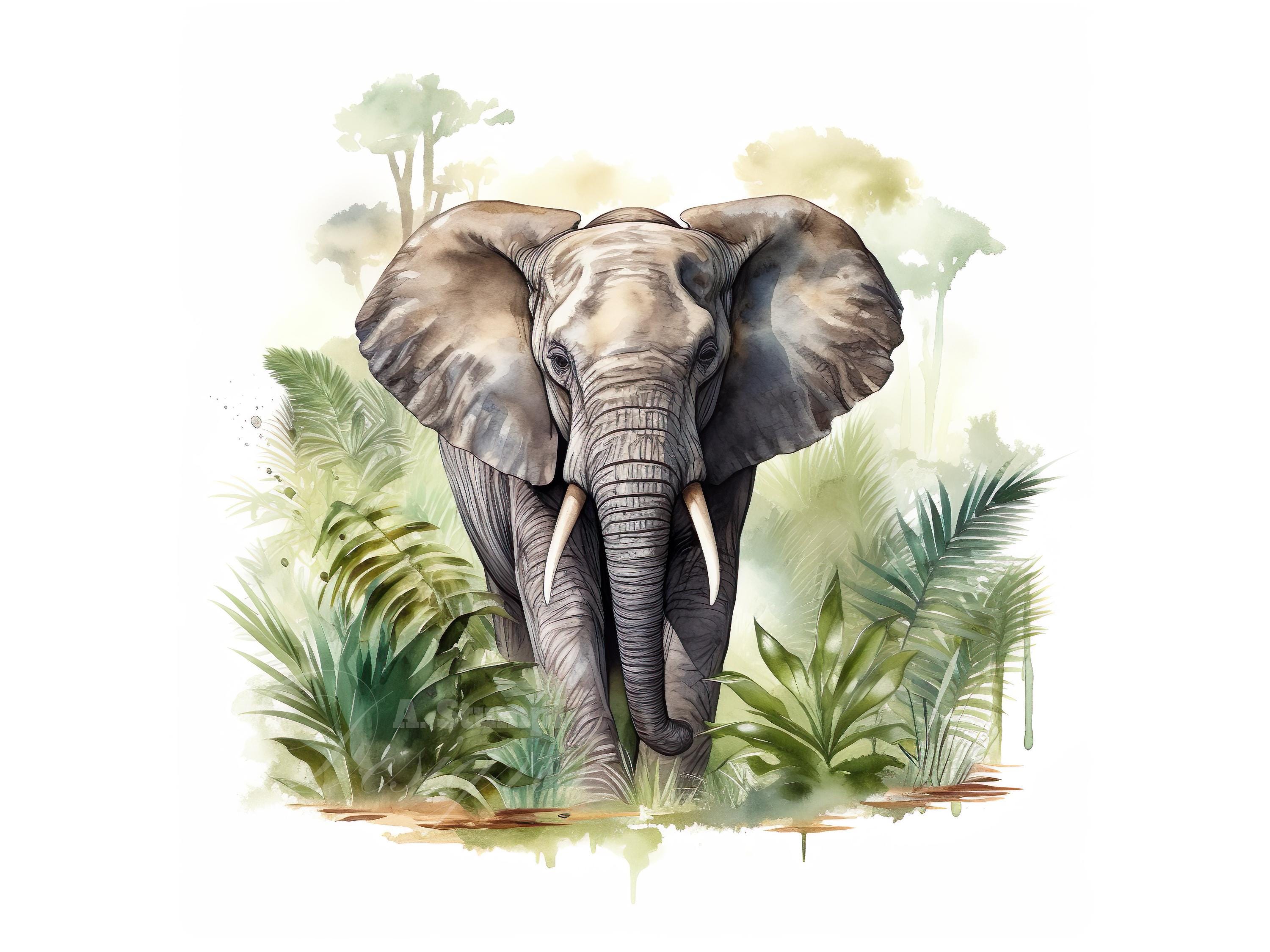 10 Elephant Clipart Set Digital Watercolor Painting African Safari ...
