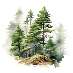 10 Pine Tree Clipart Set, Digital Watercolor Nature Painting, Forest ...