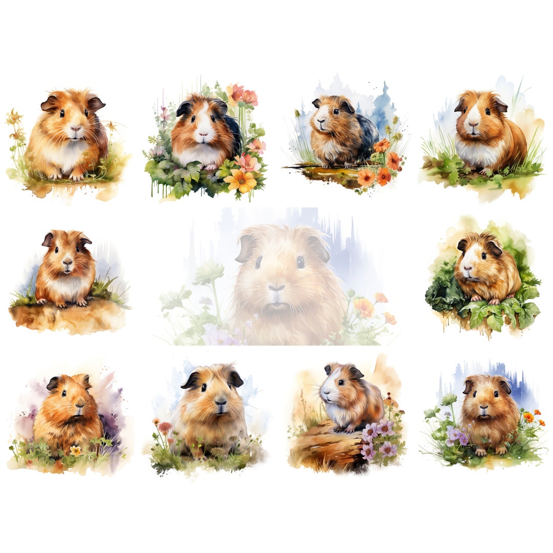 Guinea Pig Clipart Set 10 High Quality Jpgs, Pet Graphics, Printable ...