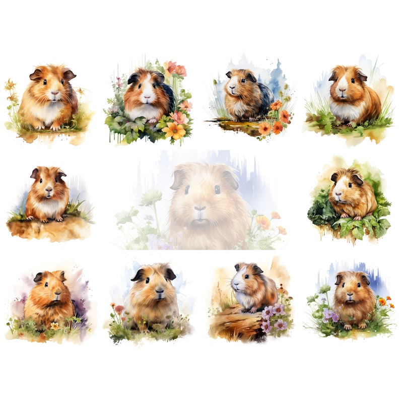 Guinea Pig Clipart Set 10 High Quality Jpgs, Pet Graphics, Printable ...
