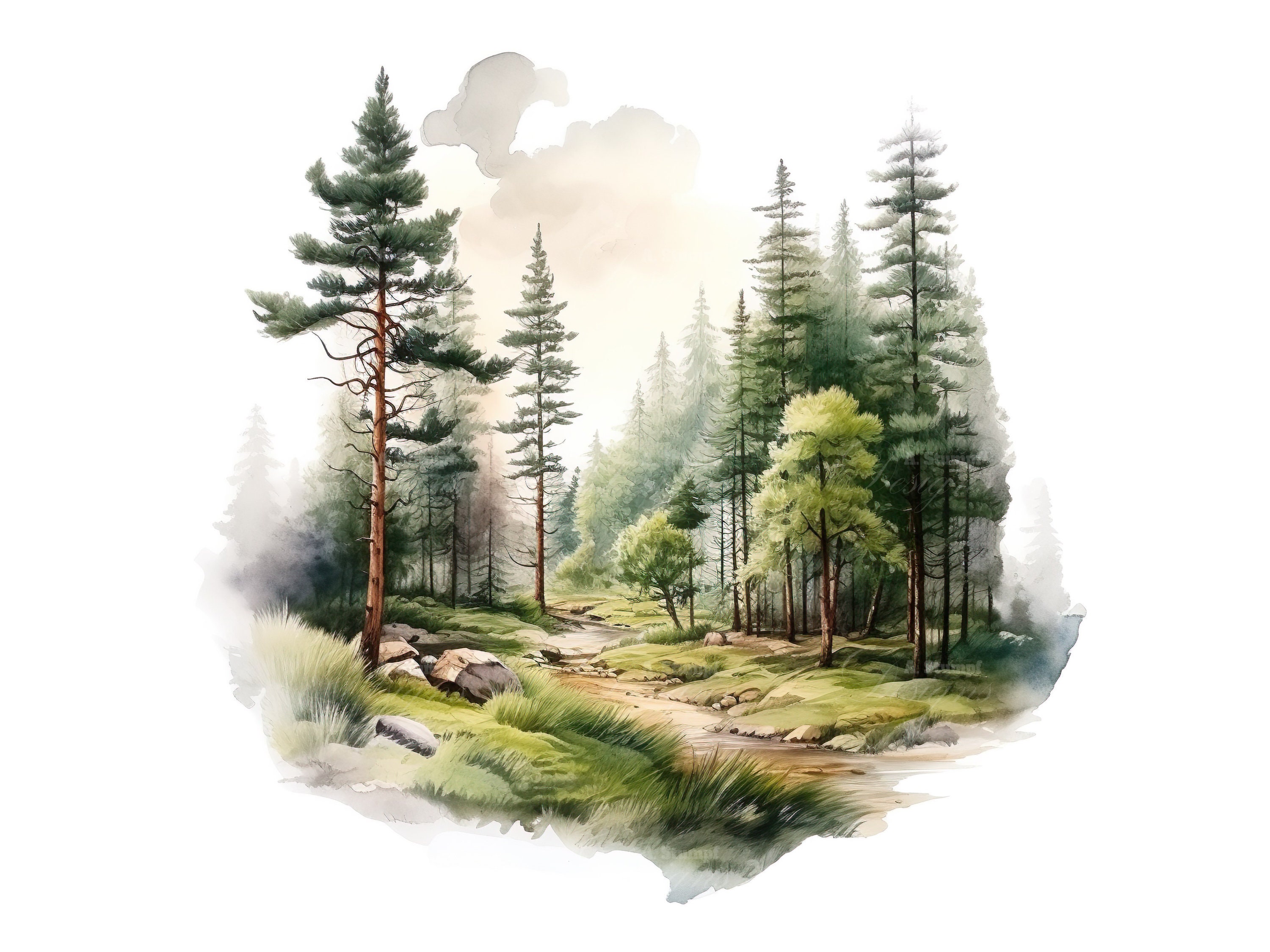 10 Pine Forest Landscape Scene Clipart Set Digital Watercolor Woodland ...