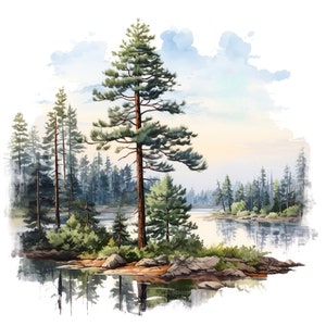 10 Pine Tree Clipart Set, Digital Watercolor Nature Painting, Forest ...