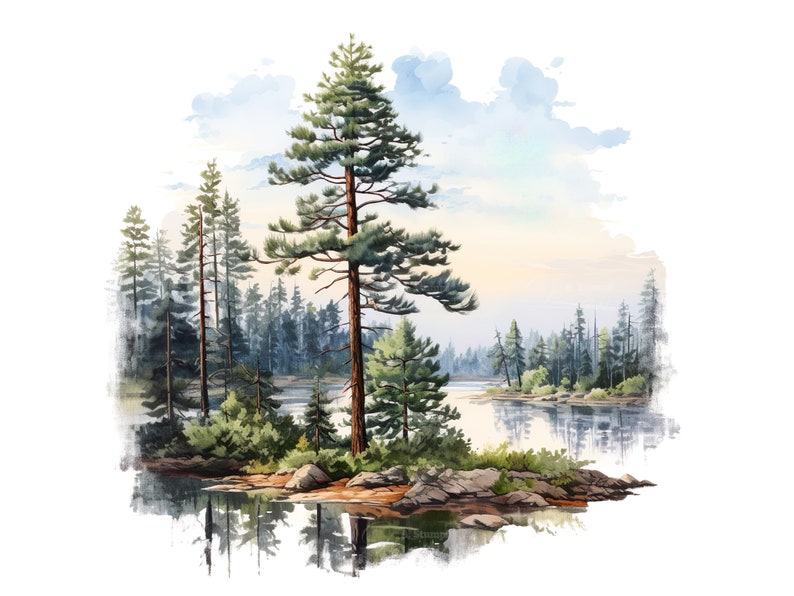 10 Pine Tree Clipart Set, Digital Watercolor Nature Painting, Forest ...