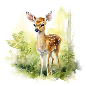 10 Cute Fawn Clipart Set Digital Watercolor Baby Deer Painting Woodland ...