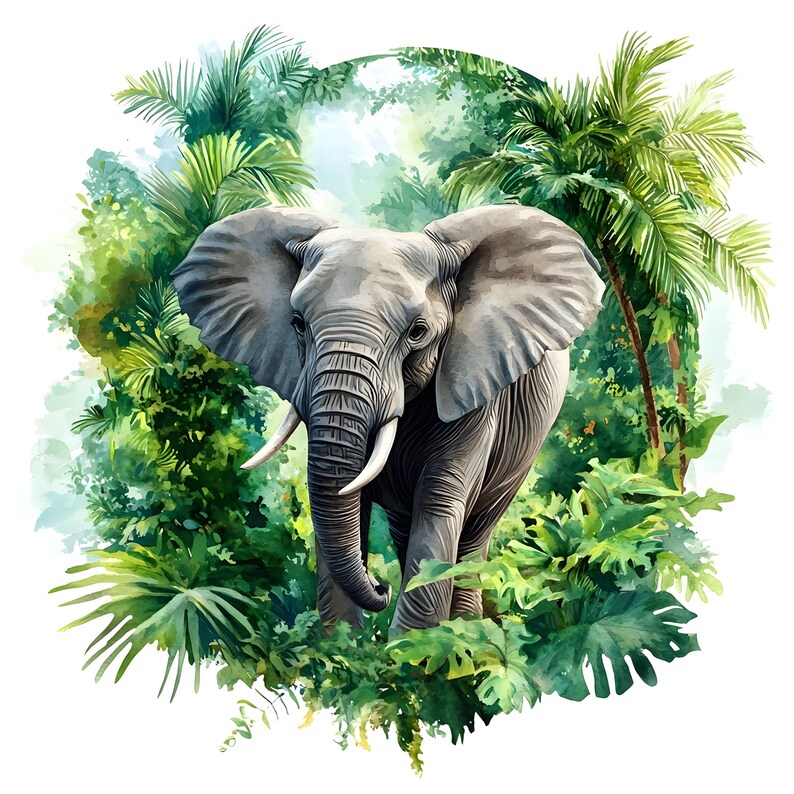 10 Elephant Clipart Set Digital Watercolor Painting African Safari ...