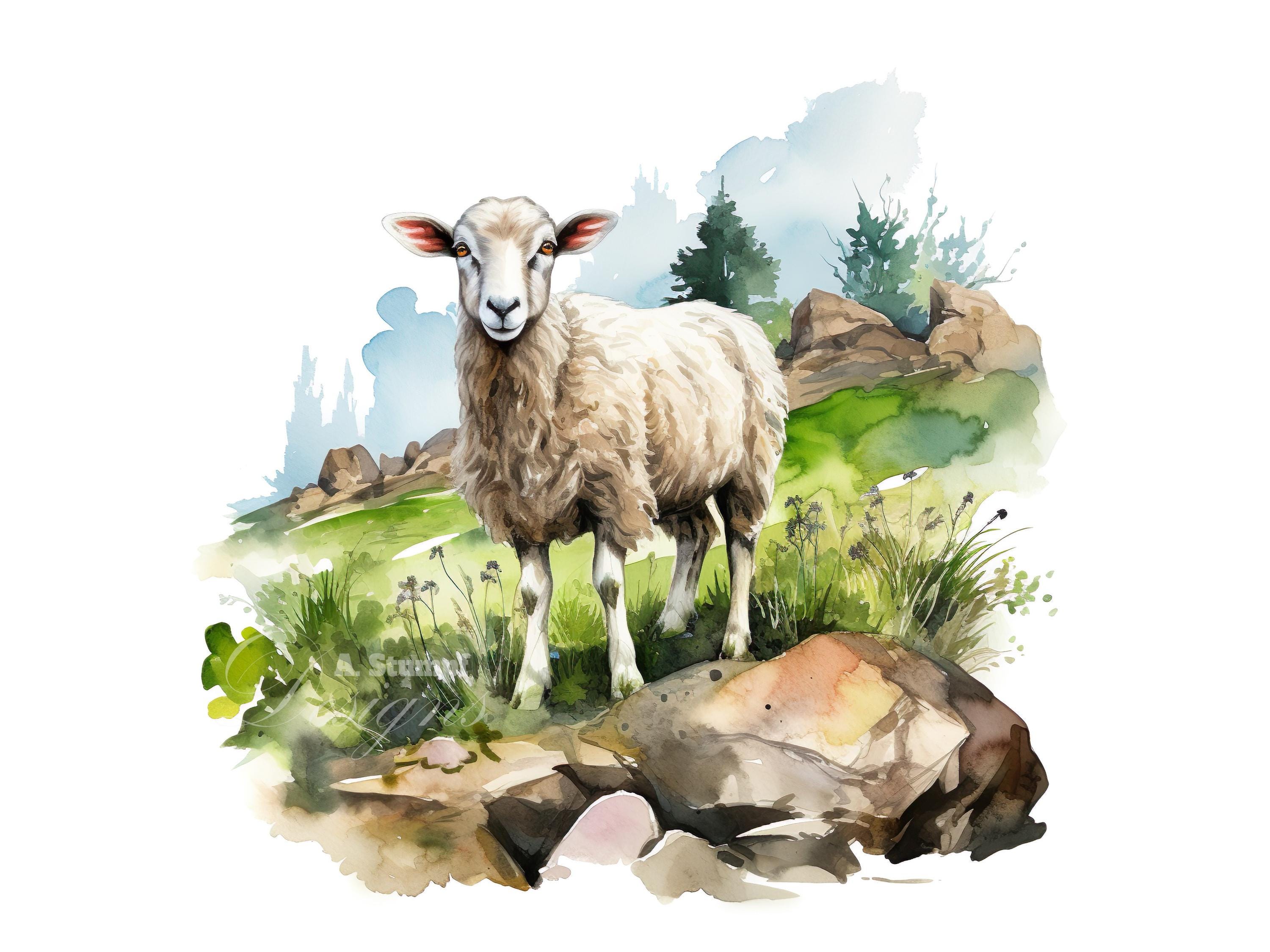 10 Wooly Fluffy Sheep Clipart Set Digital Watercolor Painting Farm ...
