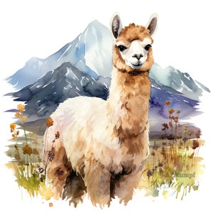 10 Alpaca Clipart Set, Digital Watercolor Paintings, Farm Animal ...
